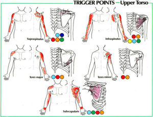 Shoulder Pain | GadiBody