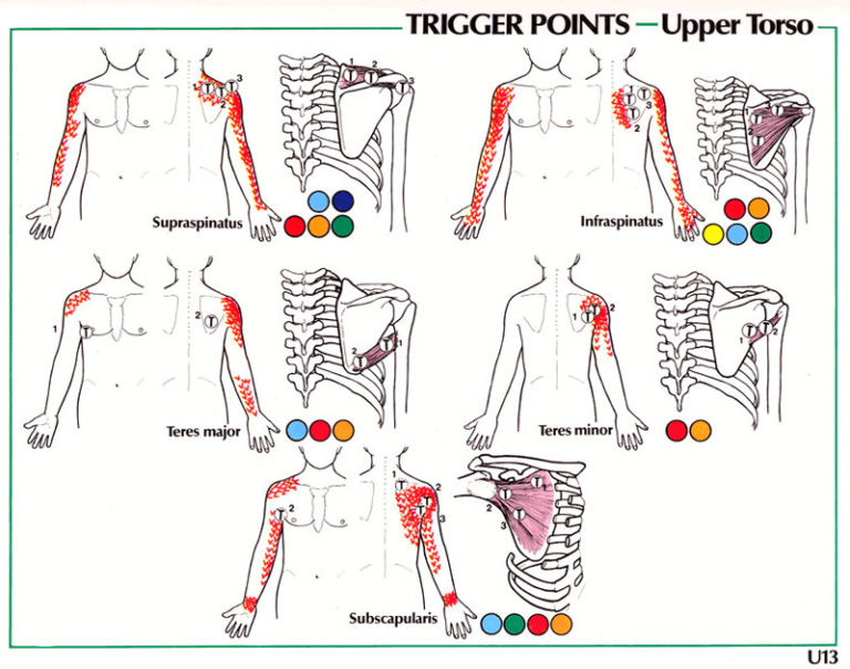 Elbow Pain | GadiBody